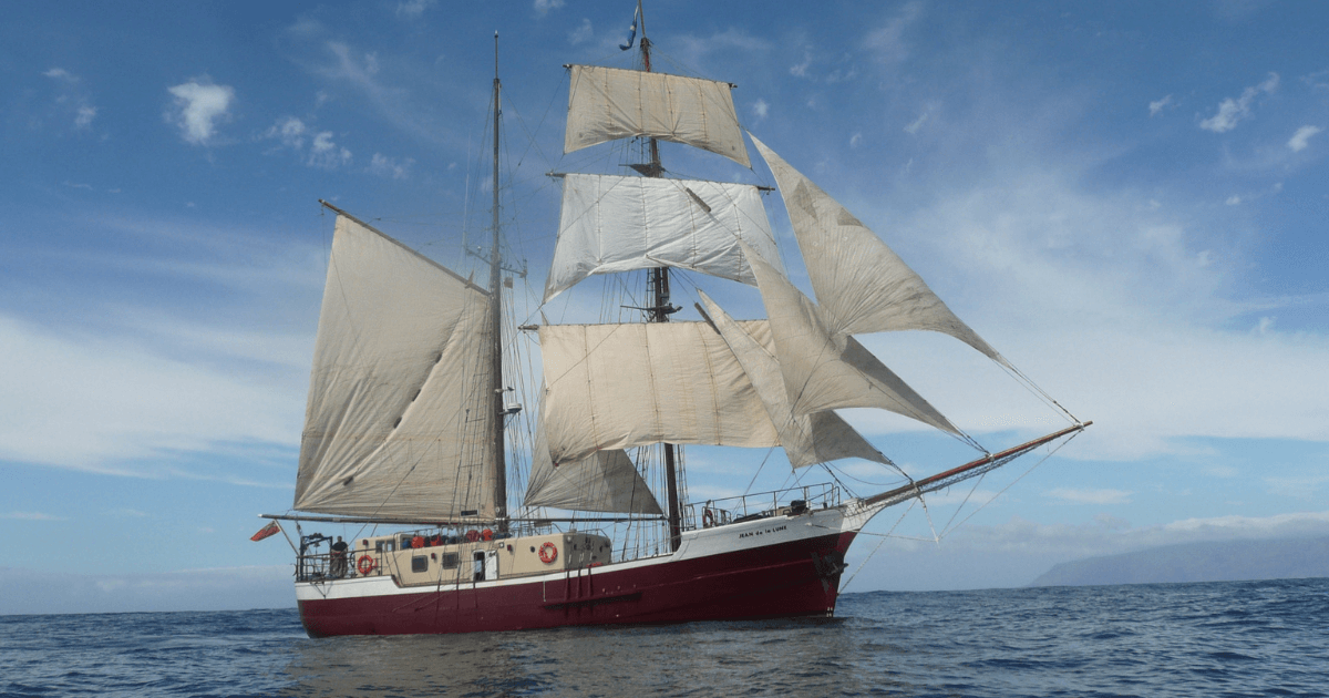 What Does the Dog's Bark Convey?