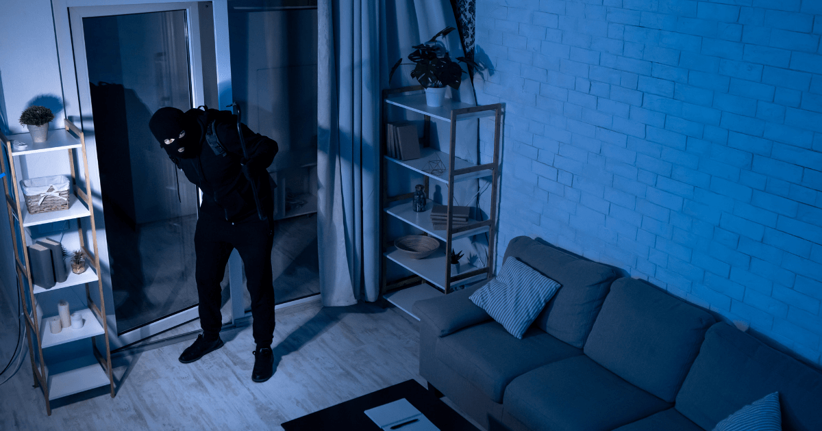 Your Daily Cautionary Advice: The Thief: Protect Your Home